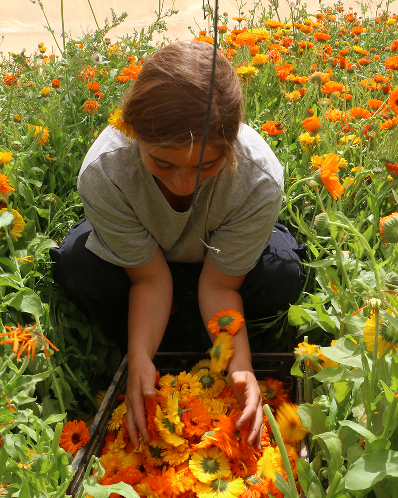 Nonprofit Association - Neot Semadar