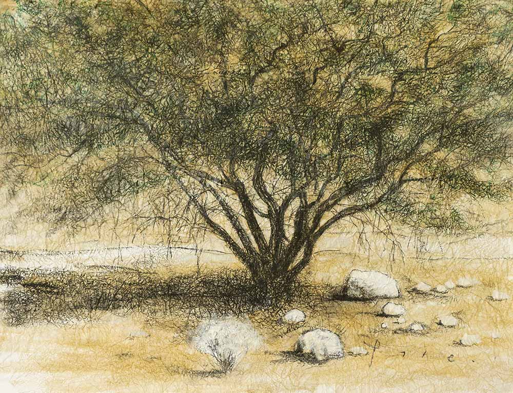 אל - מוות - Neot Semadar