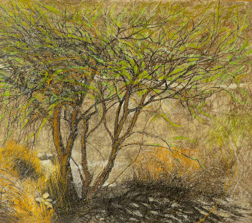 בדרך לשחרות - Neot Semadar