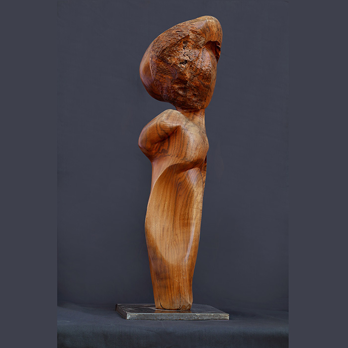 נפרטיטי - Neot Semadar