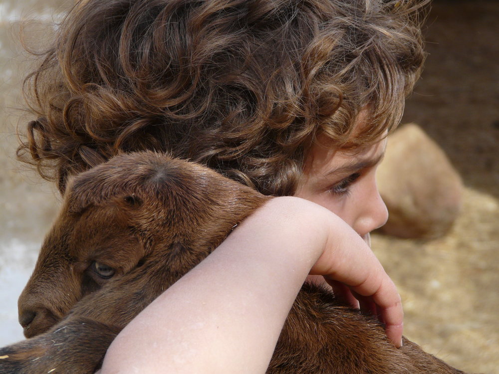 מערכת חינוך חדשנית ופורצת דרך בקיבוץ נאות סמדר - Neot Semadar