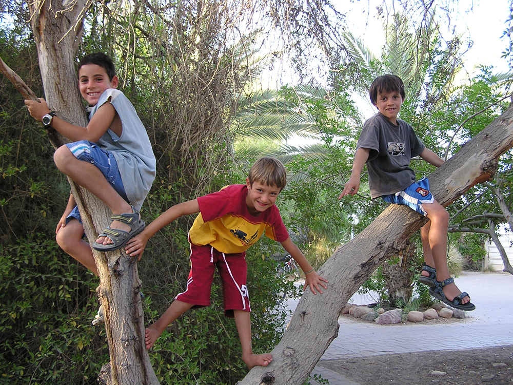 מערכת חינוך חדשנית ופורצת דרך בקיבוץ נאות סמדר - Neot Semadar