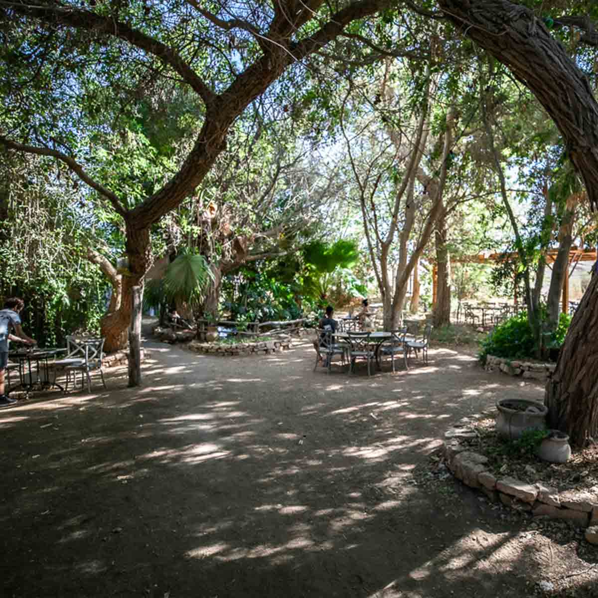 Pundak Neot Semadar | Restaurant, Cafe an Organic Products Store