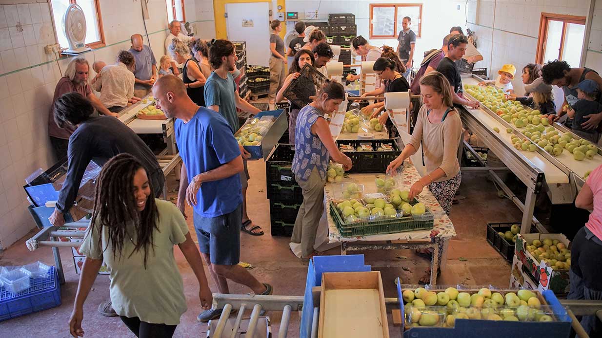 הצטרפות | נאות סמדר - Neot Semadar