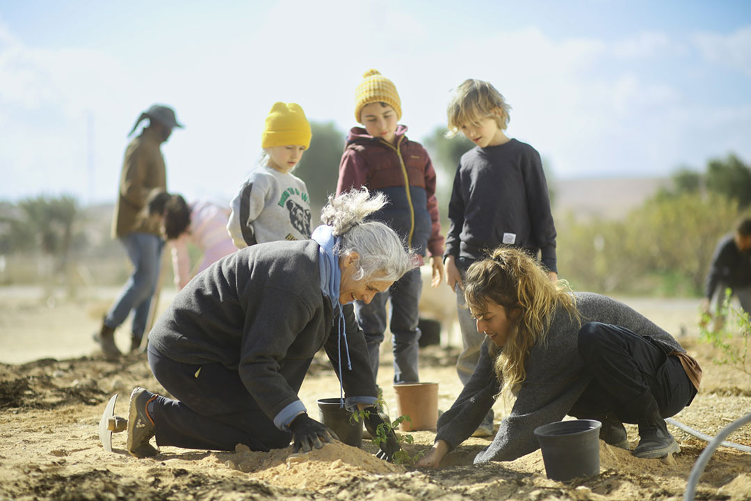 הצטרפות | נאות סמדר - Neot Semadar