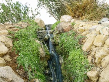 הזמנת חדר אירוח בקיבוץ נאות סמדר - Neot Semadar